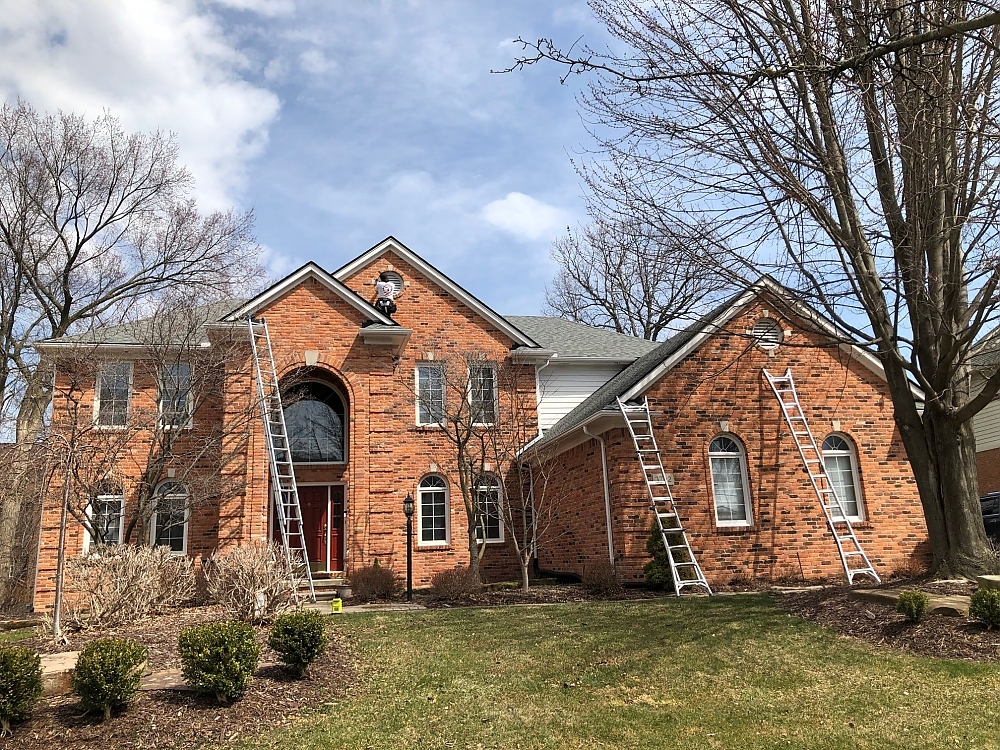 Common Misconceptions about Bat Removal | Blog